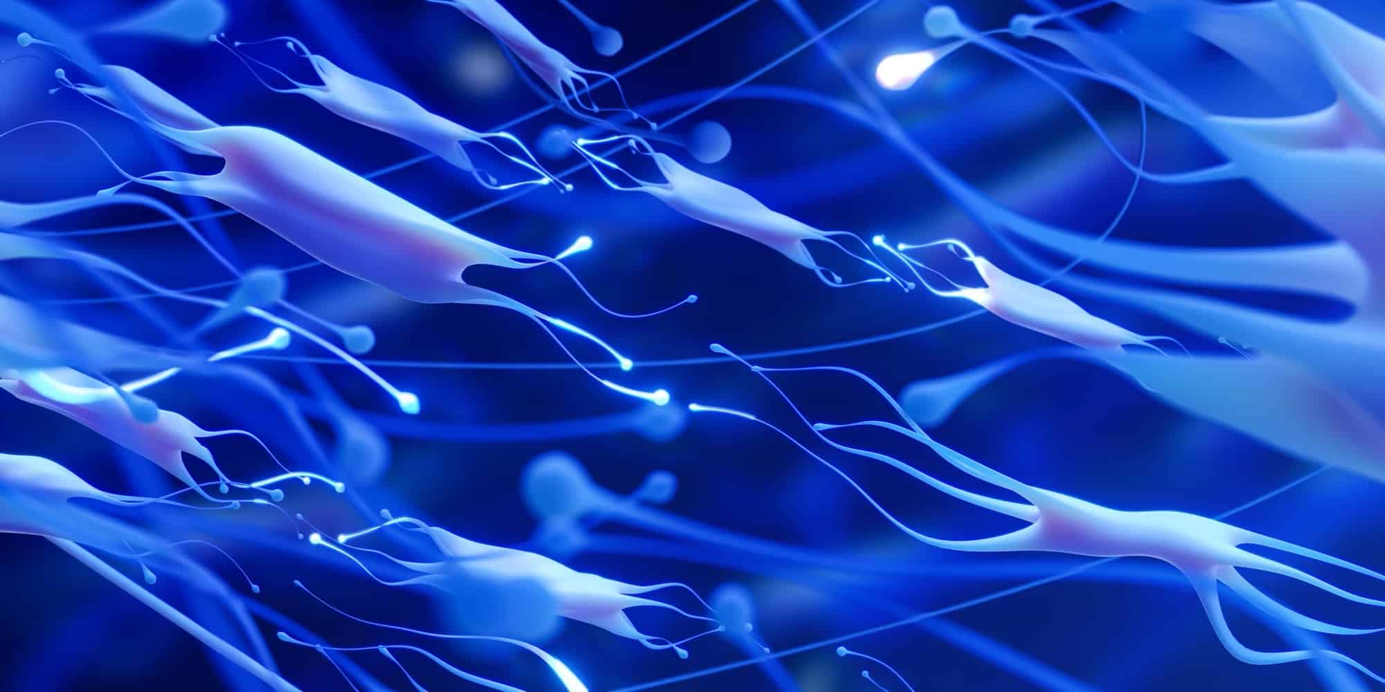 The Good, the Bad, and the Ugly… Aspects of Inflammation - Sanara MedTech